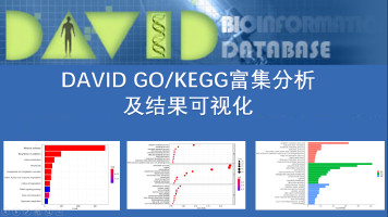 DAVID进行GO/KEGG富集分析及结果可视化-学习视频教程-腾讯课堂